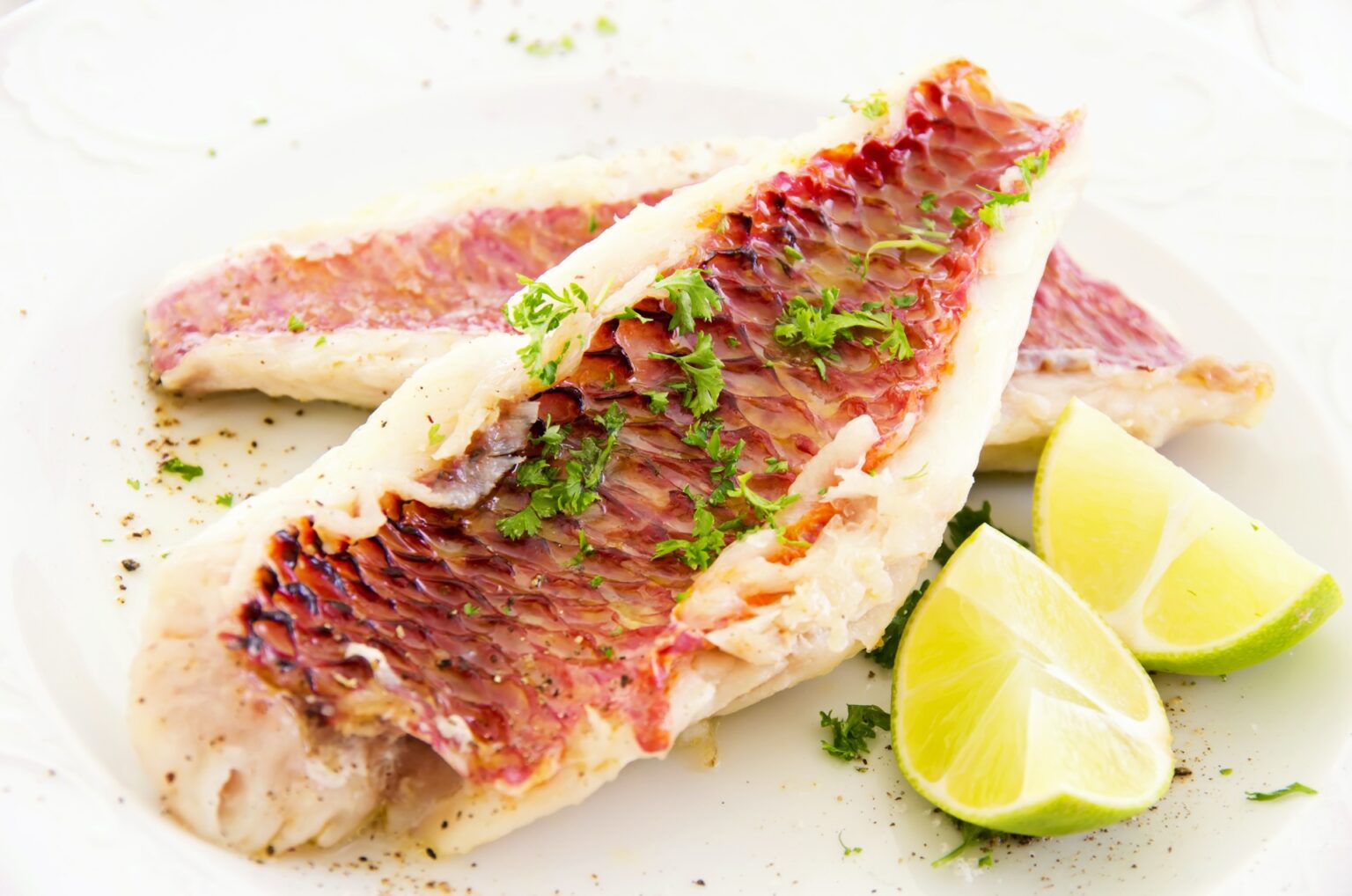 Een vis in opkomst: de Rode mul: waar komt deze bijzondere vis vandaan?