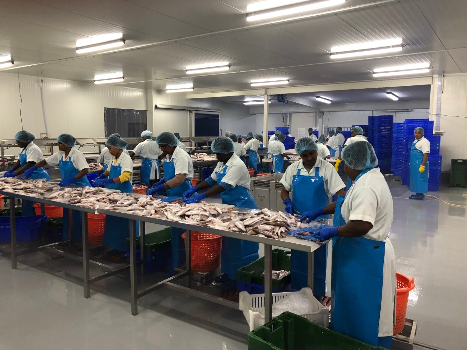 Surinaamse vissoorten; wat is de meest populaire gerookte en droge vis?